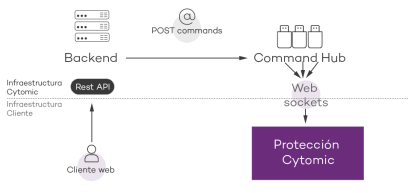 Características de la plataforma Cytomic
