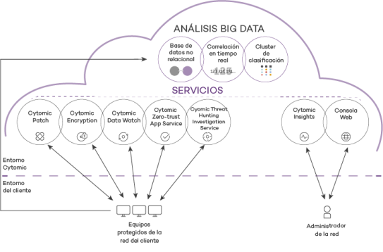 Componentes principales